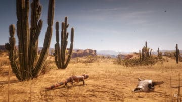 You Can Glitch Into Mexico In Red Dead Redemption 2 - RDR2.org