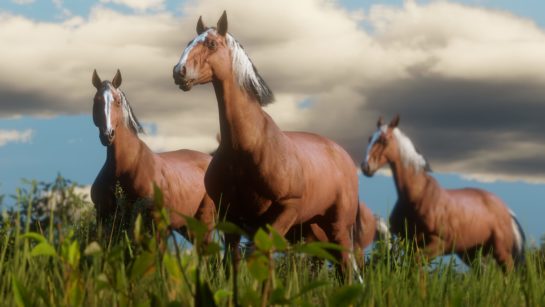 Red Dead Redemption 2 Horse Guide - Best Breed, Bonding, Stables & More ...