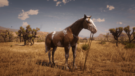 Red Dead Redemption 2 Wild Horse Breeds Locations Guide - RDR2.org