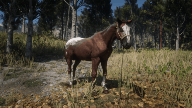 Red Dead Redemption 2 Wild Horse Breeds Locations Guide - RDR2.org