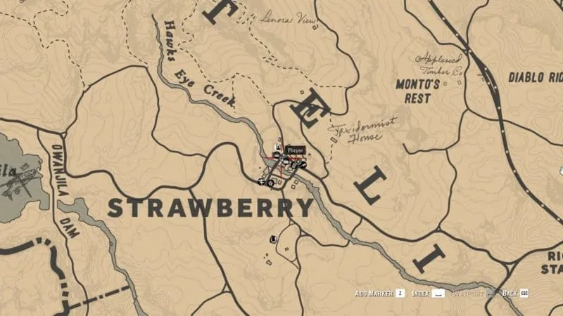 Red Dead Redemption 2 Secret Hats And Masks Locations Guide - RDR2.org