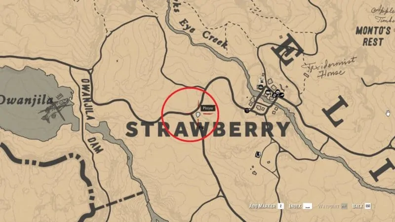 Red Dead Redemption 2 Secret Hats And Masks Locations Guide - RDR2.org
