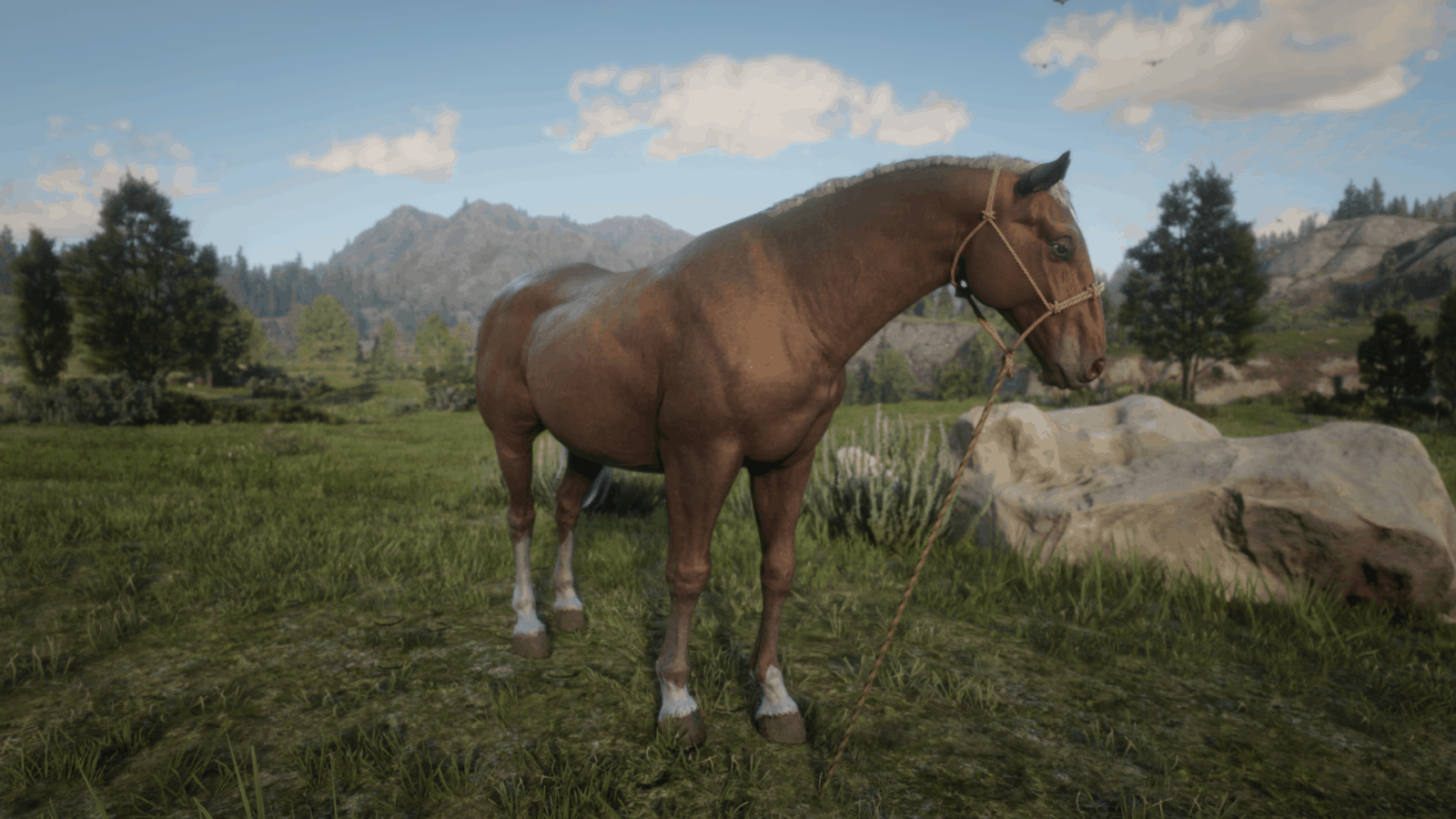 Red Dead Redemption 2 Wild Horse Breeds Locations Guide - RDR2.org