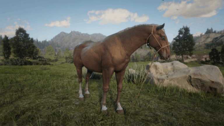 Red Dead Redemption 2 Wild Horse Breeds Locations Guide - RDR2.org