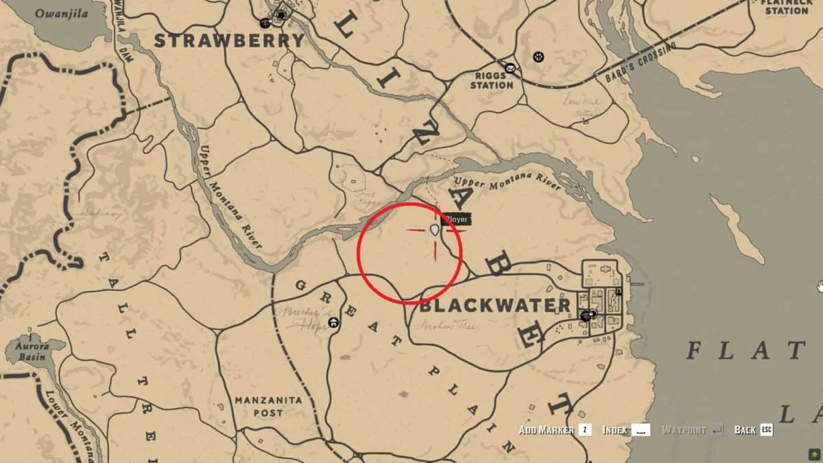 Red Dead Redemption 2 Wild Horse Breeds Locations Guide - RDR2.org