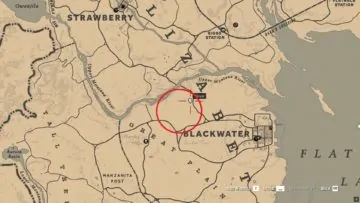 Red Dead Redemption 2 Wild Horse Breeds Locations Guide - RDR2.org