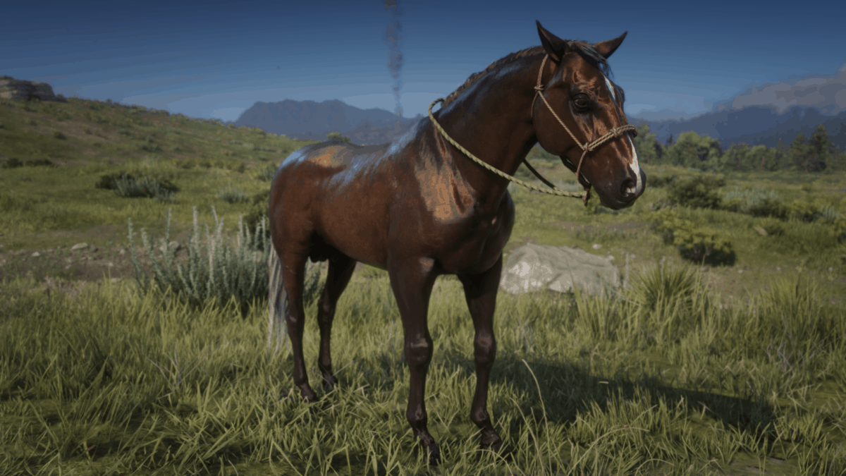 Red Dead Redemption 2 Wild Horse Breeds Locations Guide - RDR2.org