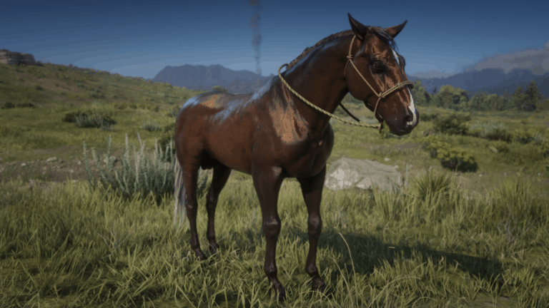 Red Dead Redemption 2 Wild Horse Breeds Locations Guide - RDR2.org