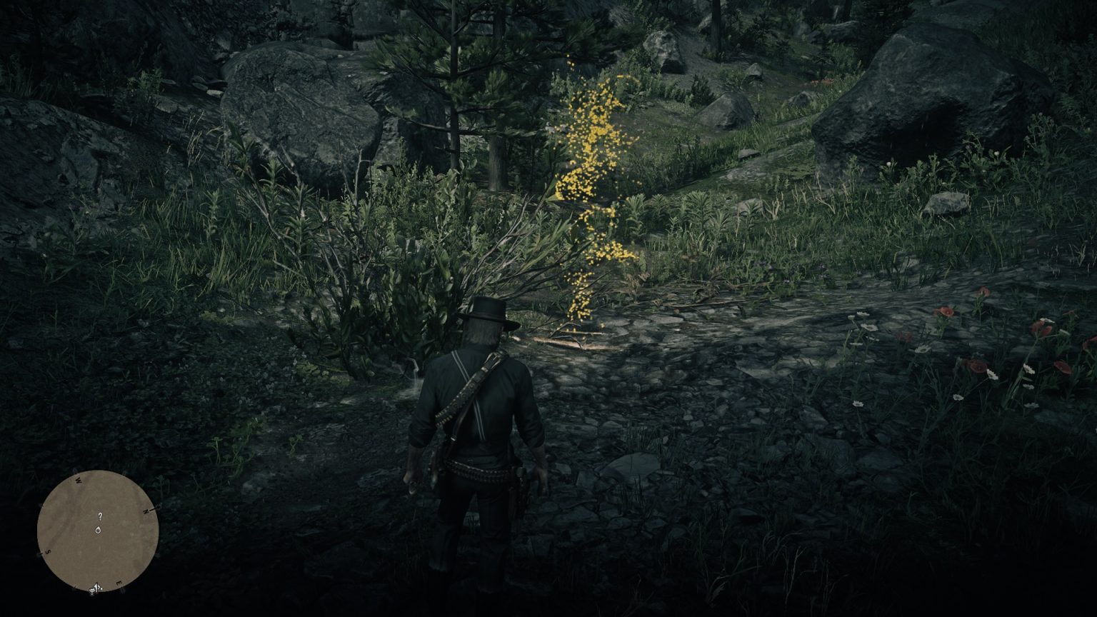 Red Dead Redemption 2 Legendary Animals Guide - RDR2.org