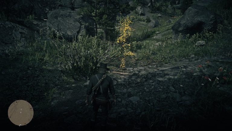 Red Dead Redemption 2 Legendary Animals Guide - RDR2.org