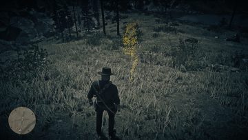 Red Dead Redemption 2 Legendary Animals Guide - RDR2.org
