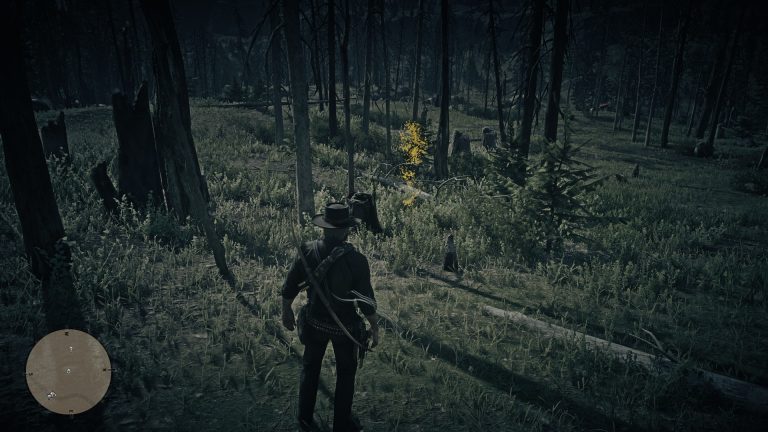 Red Dead Redemption 2 Legendary Animals Guide - RDR2.org