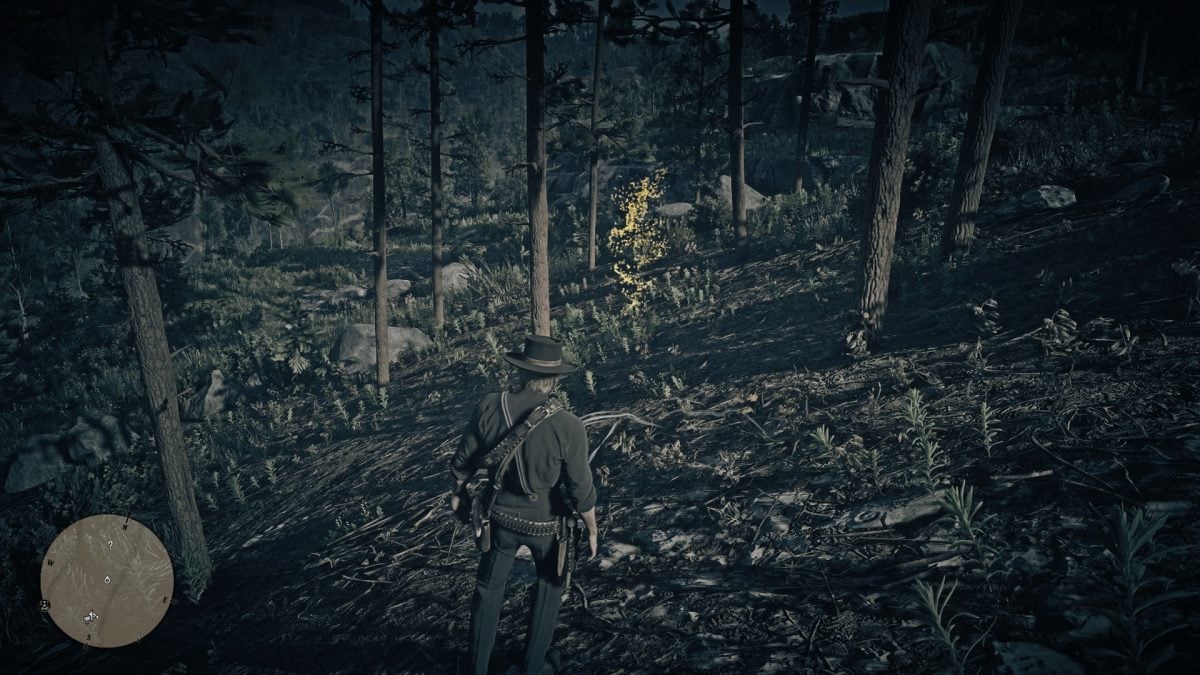 Red Dead Redemption 2 Legendary Animals Guide - RDR2.org