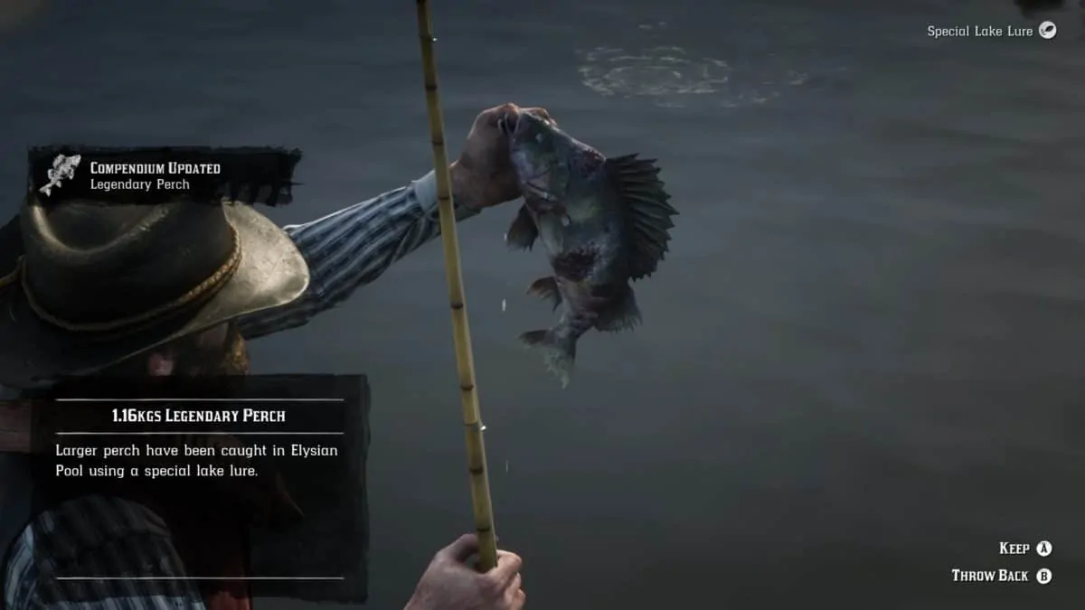 Red Dead Redemption 2 Legendary Fish Locations Guide ("A Fisher of Fish ...