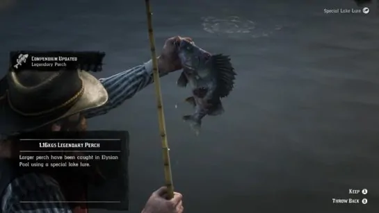Red Dead Redemption 2 Legendary Fish Locations Guide ("A Fisher of Fish ...