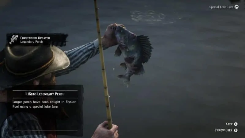 Red Dead Redemption 2 Legendary Fish Locations Guide ("A Fisher of Fish ...