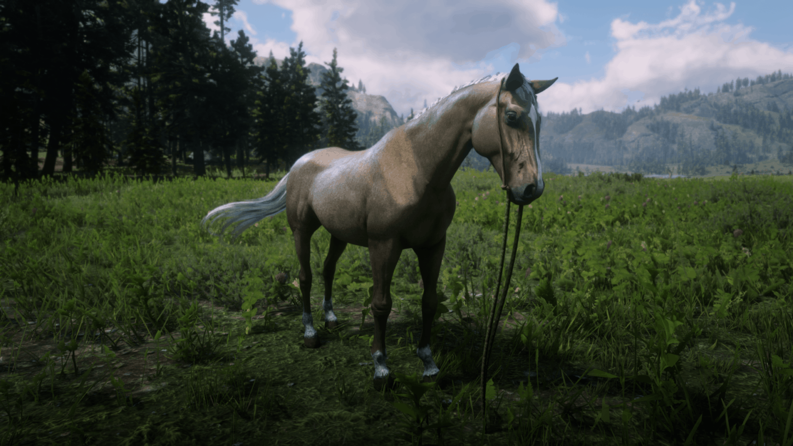 Red Dead Redemption 2 Wild Horse Breeds Locations Guide - RDR2.org
