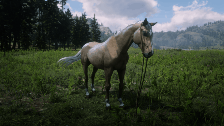Red Dead Redemption 2 Wild Horse Breeds Locations Guide - RDR2.org