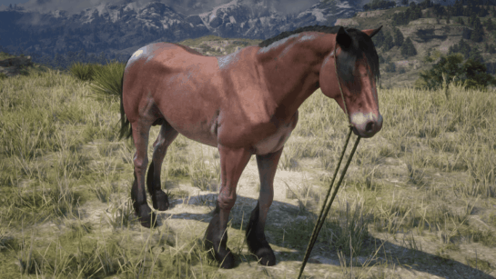Red Dead Redemption 2 Wild Horse Breeds Locations Guide - RDR2.org
