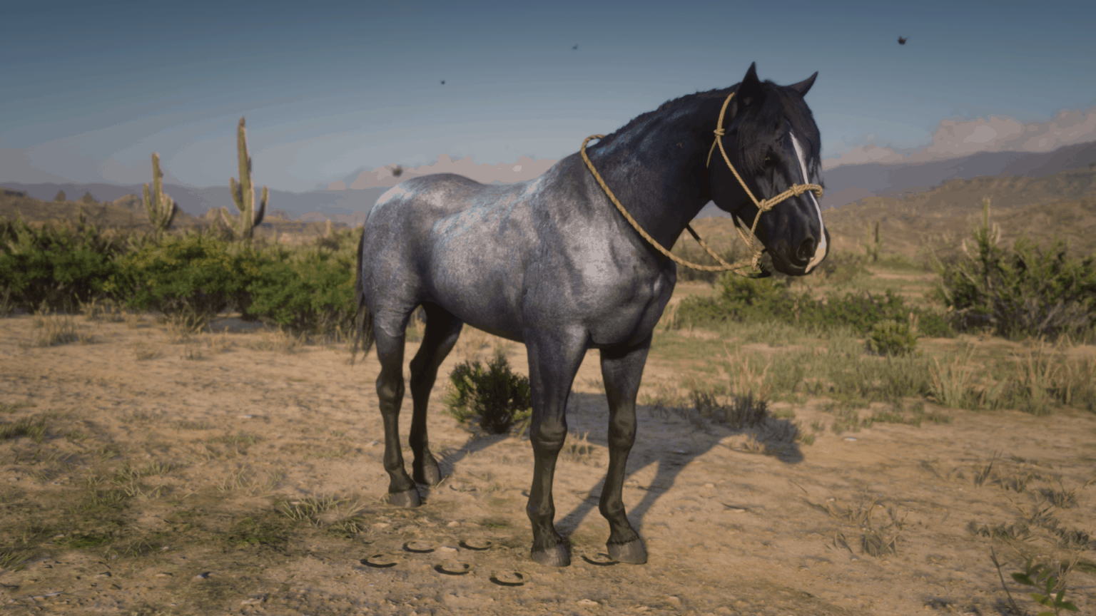 Red Dead Redemption 2 Wild Horse Breeds Locations Guide - RDR2.org