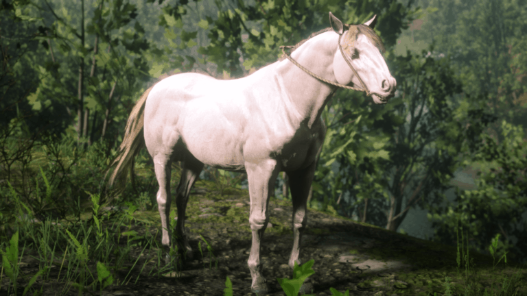 Red Dead Redemption 2 Wild Horse Breeds Locations Guide - RDR2.org