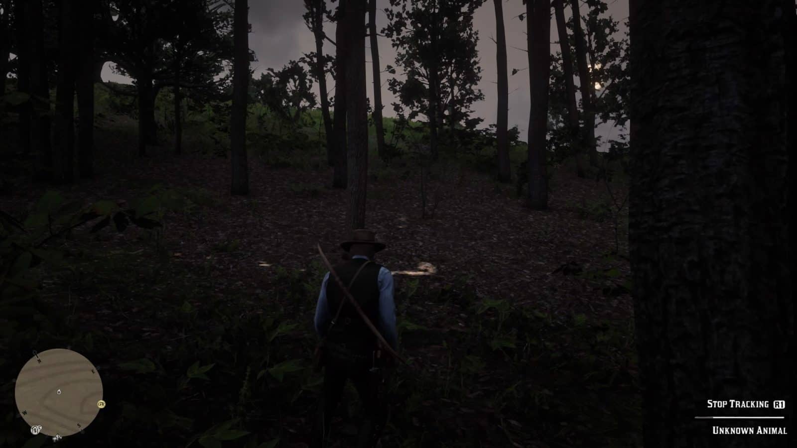 Red Dead Redemption 2 Legendary Animals Guide - RDR2.org