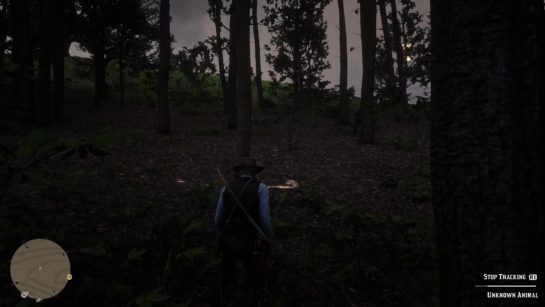 Red Dead Redemption 2 Legendary Animals Guide - RDR2.org