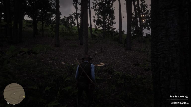 Red Dead Redemption 2 Legendary Animals Guide - RDR2.org