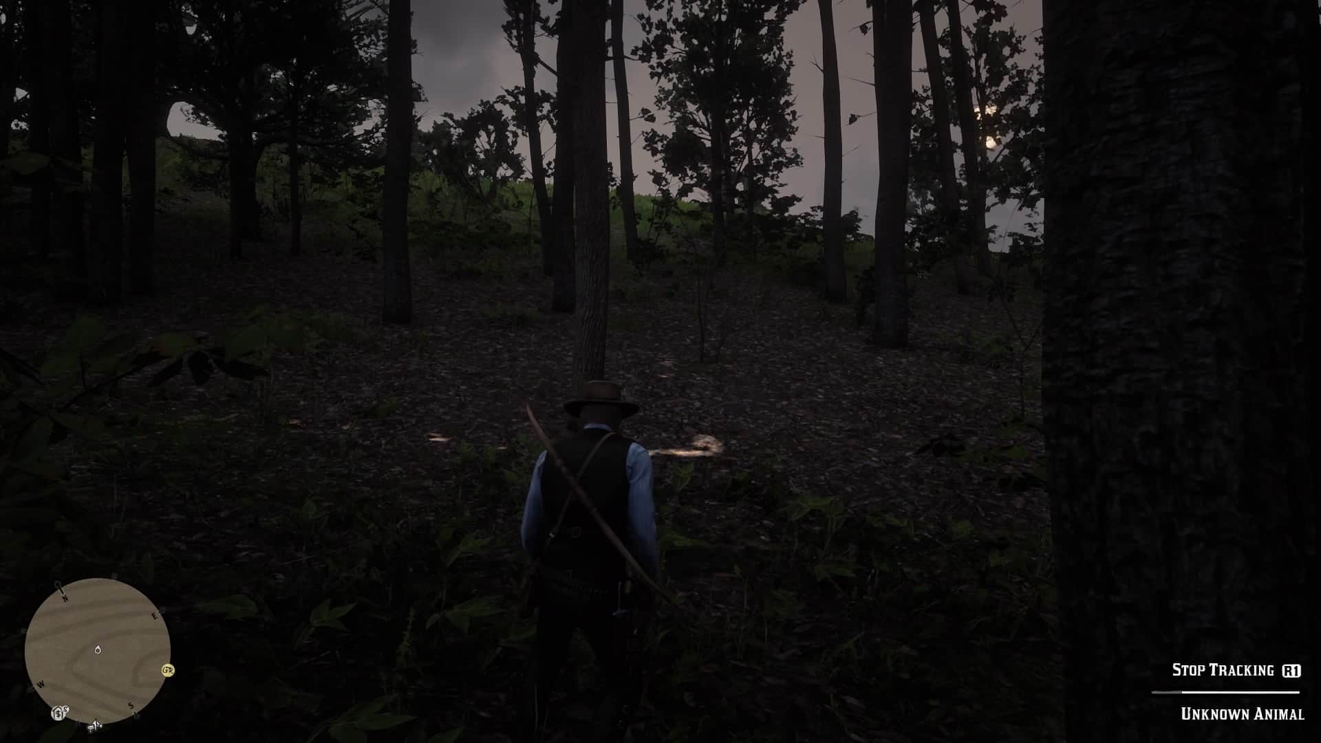 Red Dead Redemption 2 Legendary Animals Guide - RDR2.org