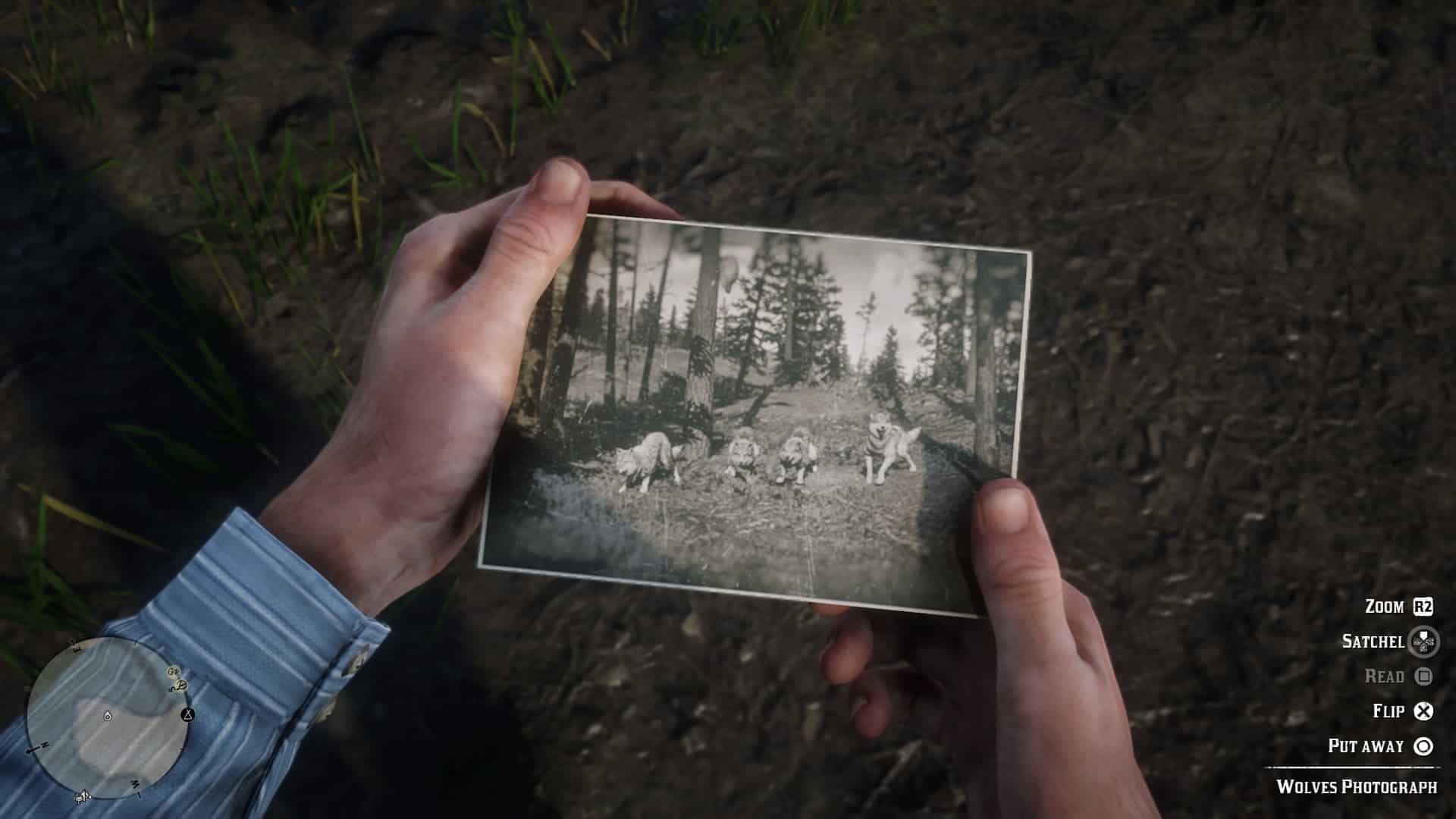 "Arcadia for Amateurs" Stranger Mission Guide - RDR2.org