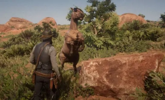 Red Dead Redemption 2 Wild Horse Breeds Locations Guide - RDR2.org