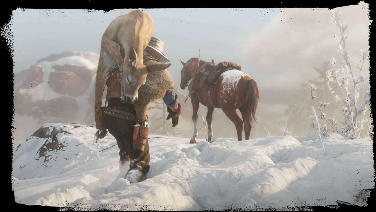 Horses & Saddles - Red Dead Redemption 2 Wiki - RDR2.org