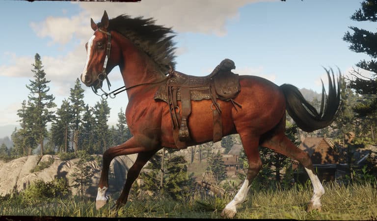 RDR2.org: Red Dead Redemption 2 News, Cheats, Forums, Wiki & Guides