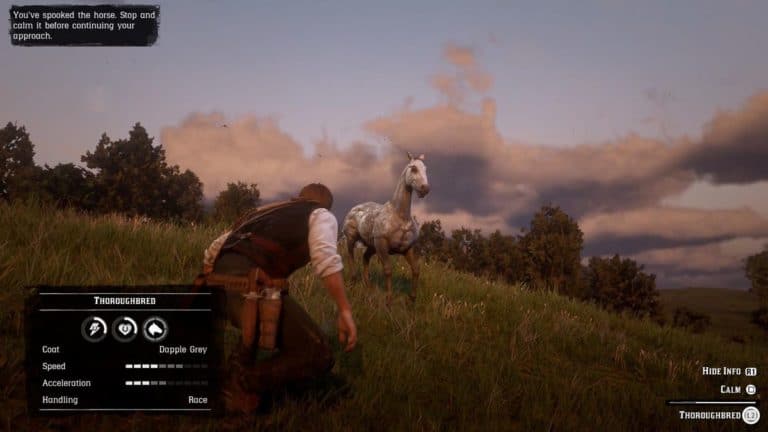 Red Dead Redemption 2 Horse Taming Guide - RDR2.org