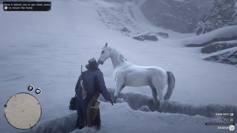 The Best Horse in RDR2 & Red Dead Online - RDR2.org