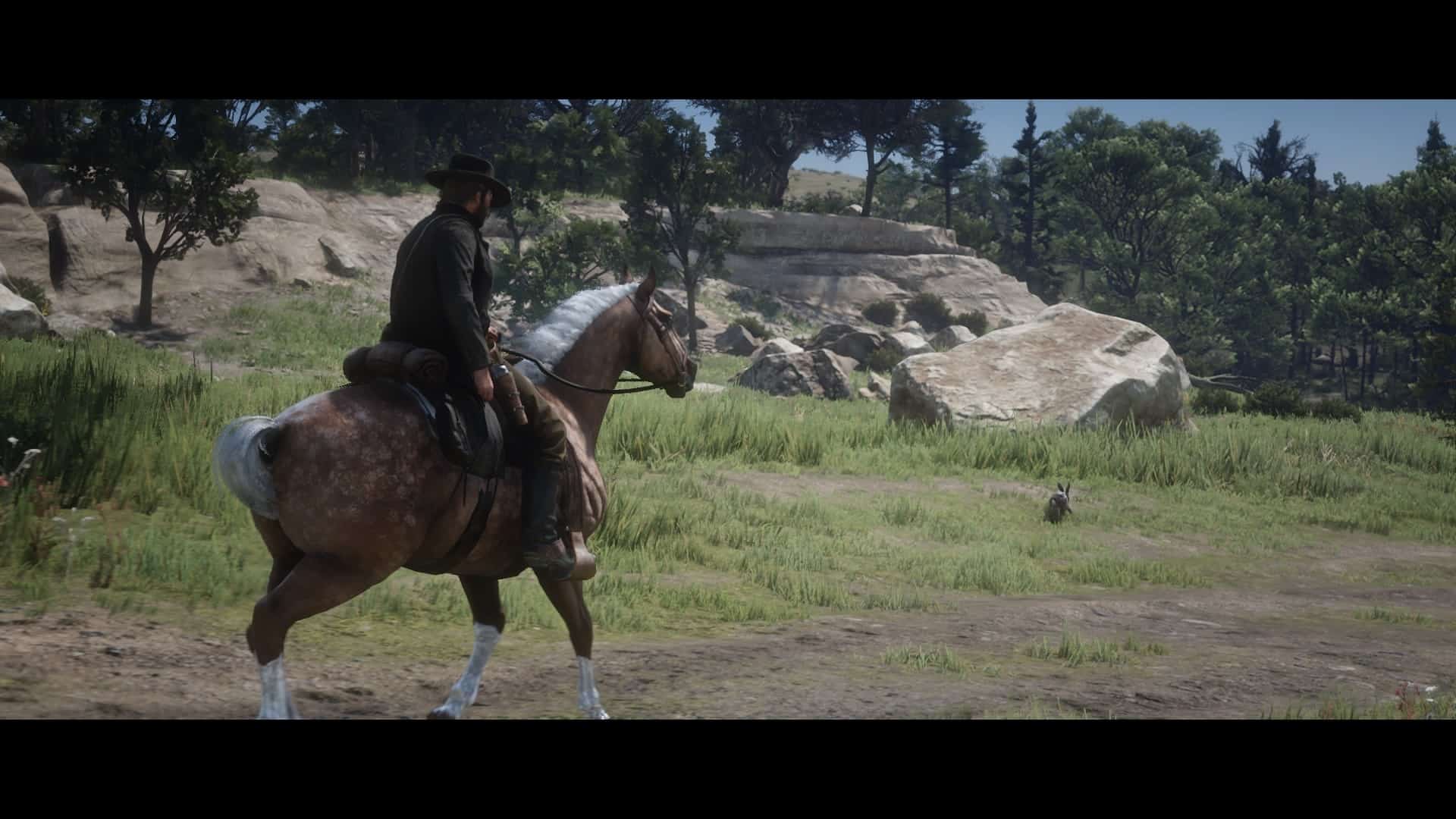 Red Dead Online Horse Awards Guide - RDR2.org