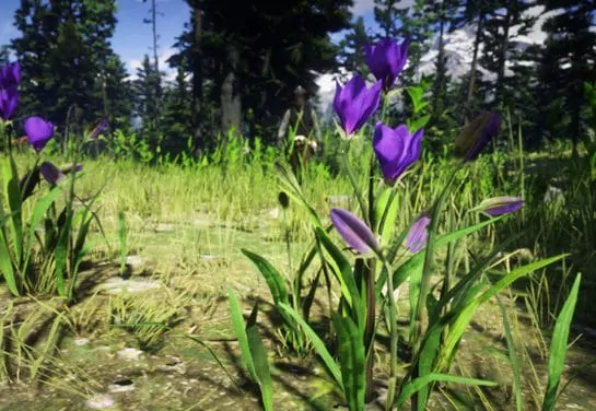 Plants & Herbs Location Guide - RDR2.org