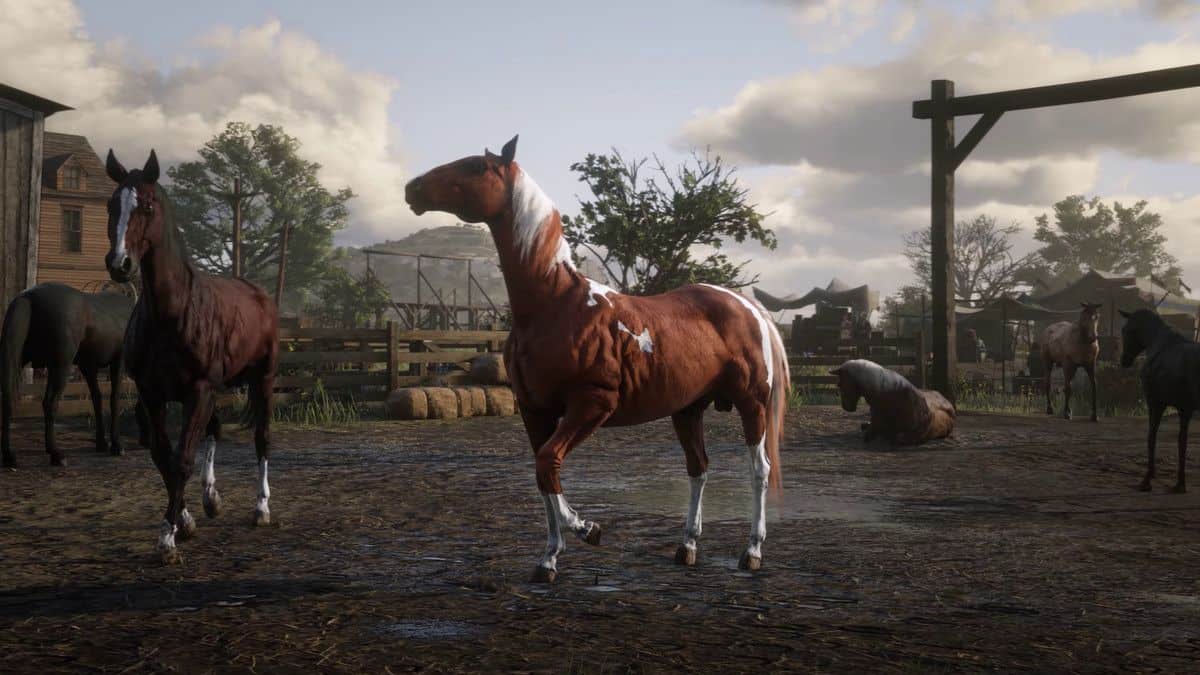 Red Dead Online Rank Unlocks Guide - RDR2.org