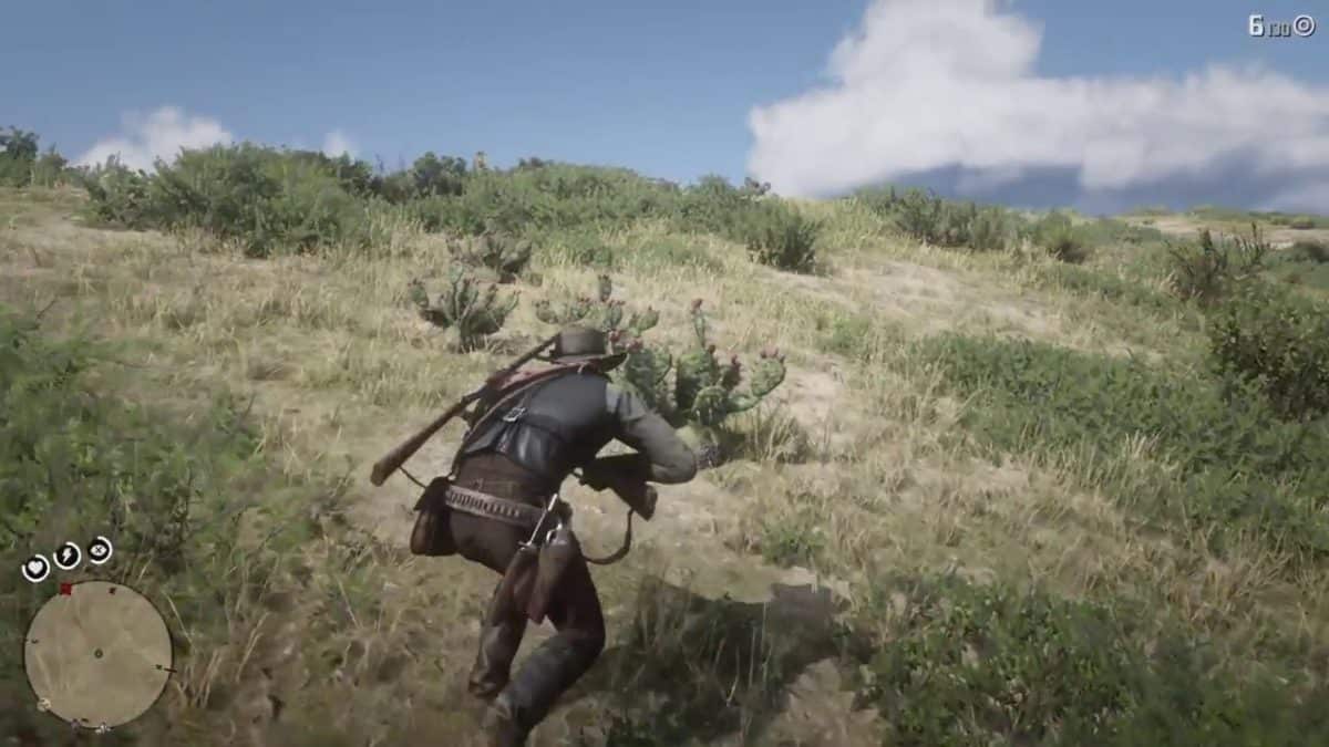 Red Dead Redemption 2 Master Hunter Challenges Guide - RDR2.org