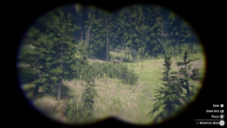 Red Dead Redemption 2 Master Hunter Challenges Guide - RDR2.org