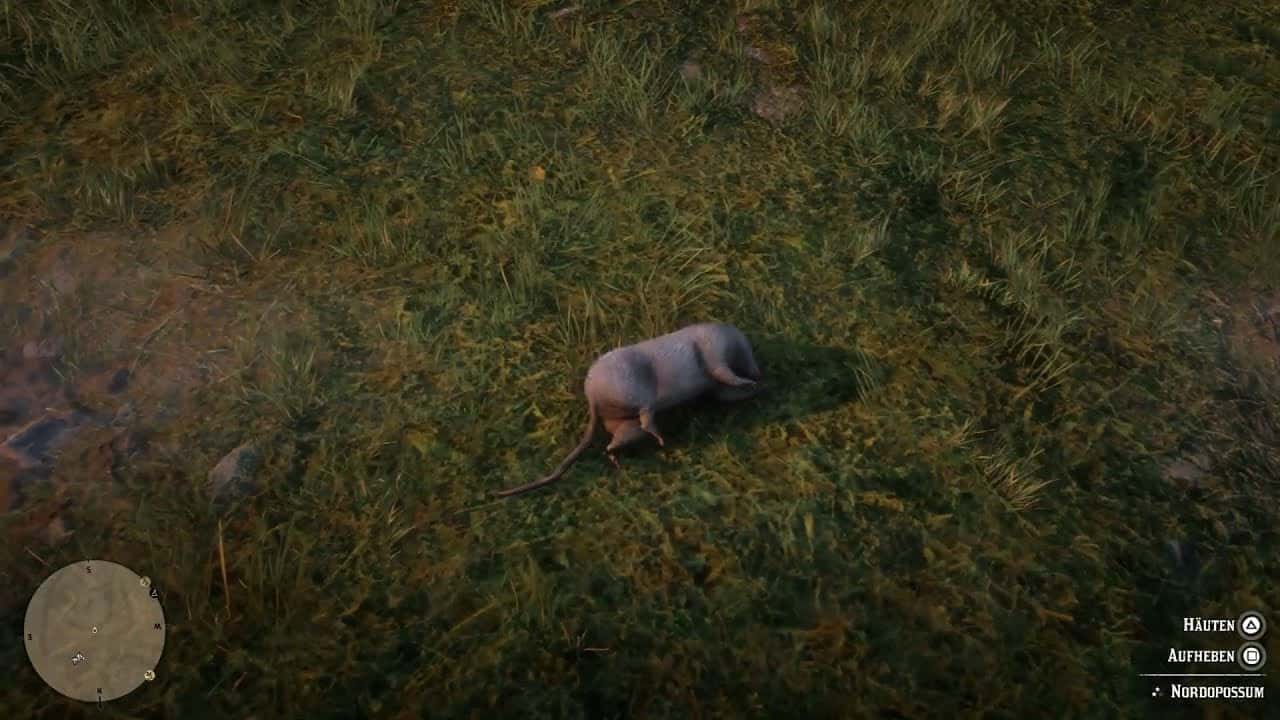 Red Dead Redemption 2 Master Hunter Challenges Guide - RDR2.org