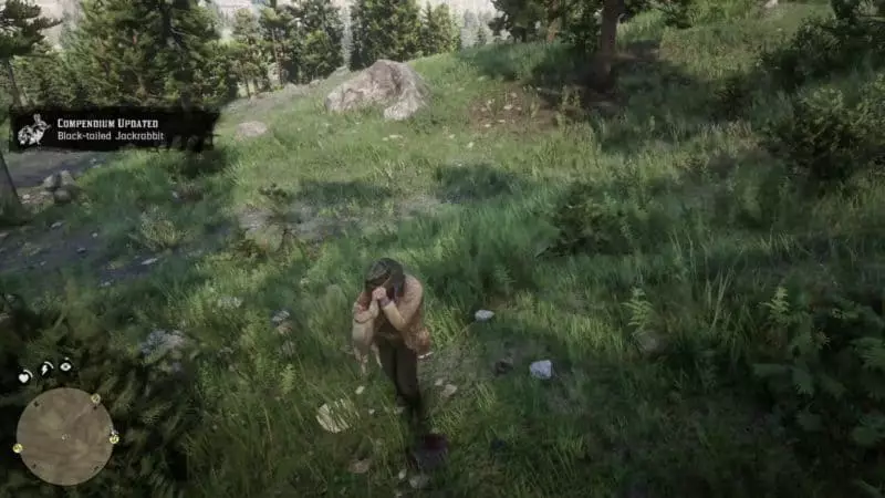 Red Dead Redemption 2 Master Hunter Challenges Guide - RDR2.org