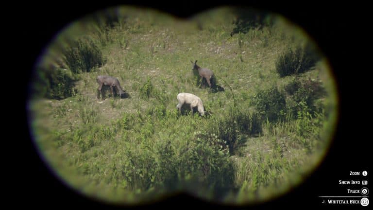 How To Get A Perfect Pelt In Red Dead Redemption 2 - RDR2.org