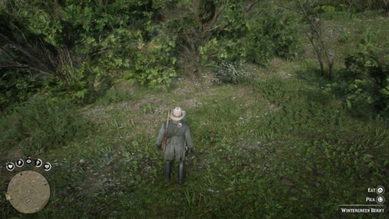 Red Dead Redemption 2 Herbalist Challenge Guide - RDR2.org