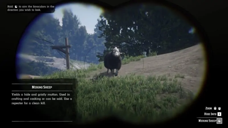 Points of Interest Guide - RDR2.org