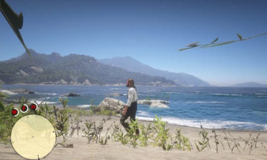 Chapter 5 Missions And Gold Medals Guide - RDR2.org