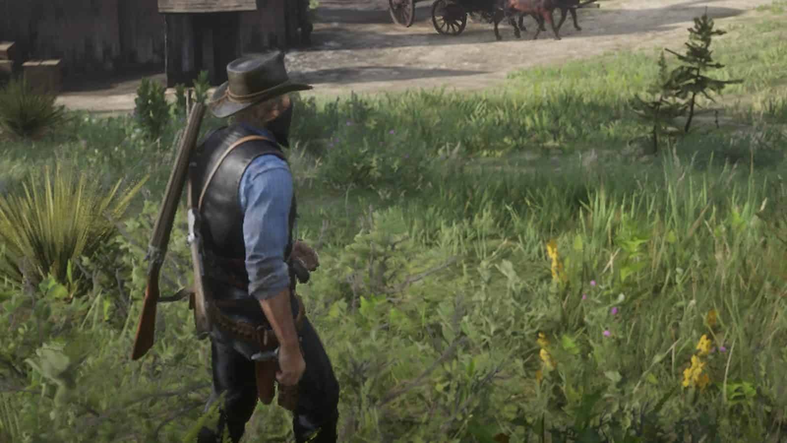 Red Dead Redemption 2 Herbalist Challenge Guide - RDR2.org