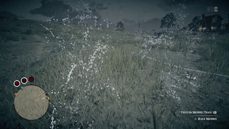 Plants & Herbs Location Guide - RDR2.org