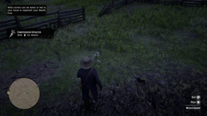 Plants & Herbs Location Guide - RDR2.org