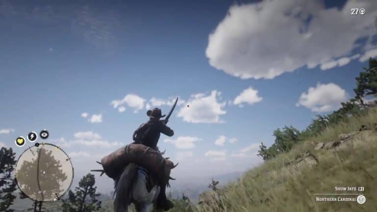 Red Dead Redemption 2 Sharpshooter Challenge Guide - RDR2.org